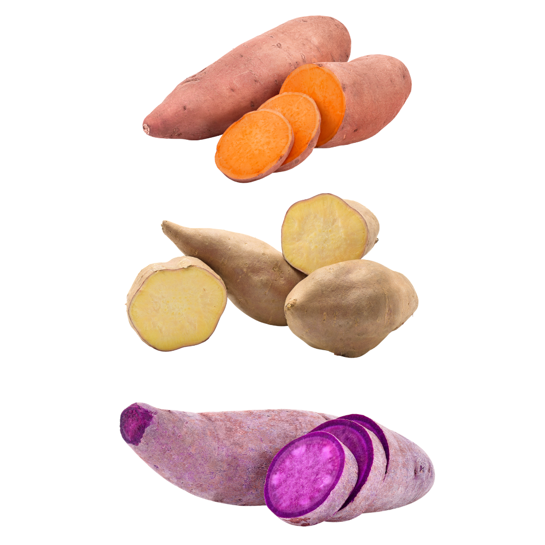 Tricolor Variety Collection | Orange, White, & Purple | Steele Plant ...