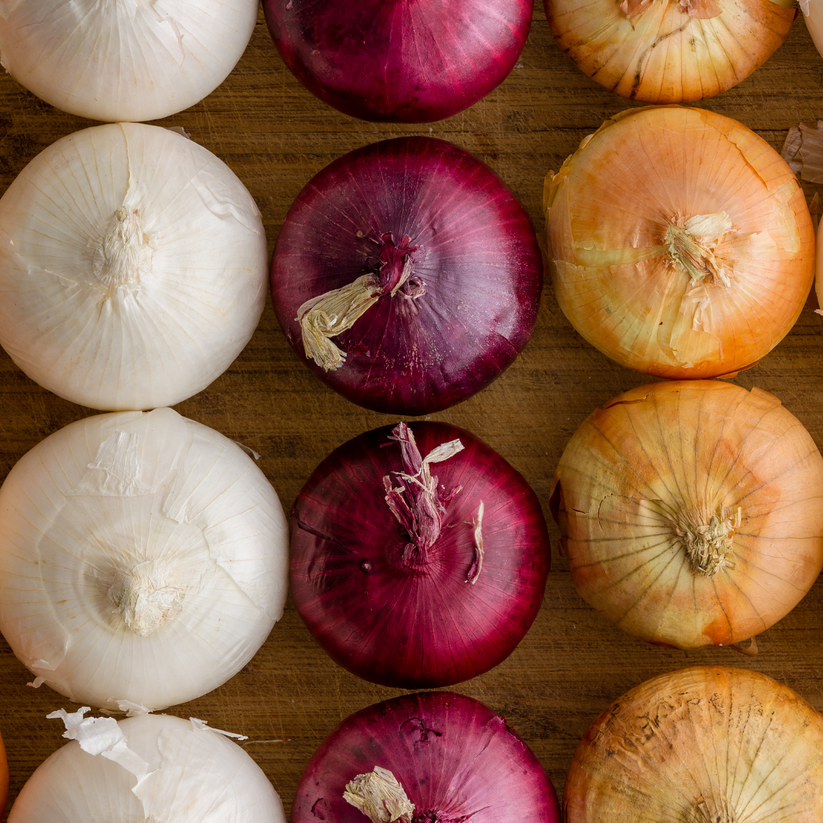 Short Day Onion Plant Collection | 3 Varieties | Steele Plant Company