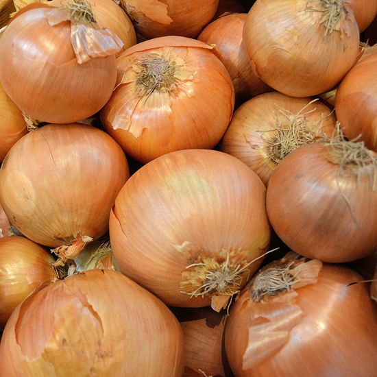 Yellow Sweet Spanish Onion Plants | Best Flavor | Steele Plant Company